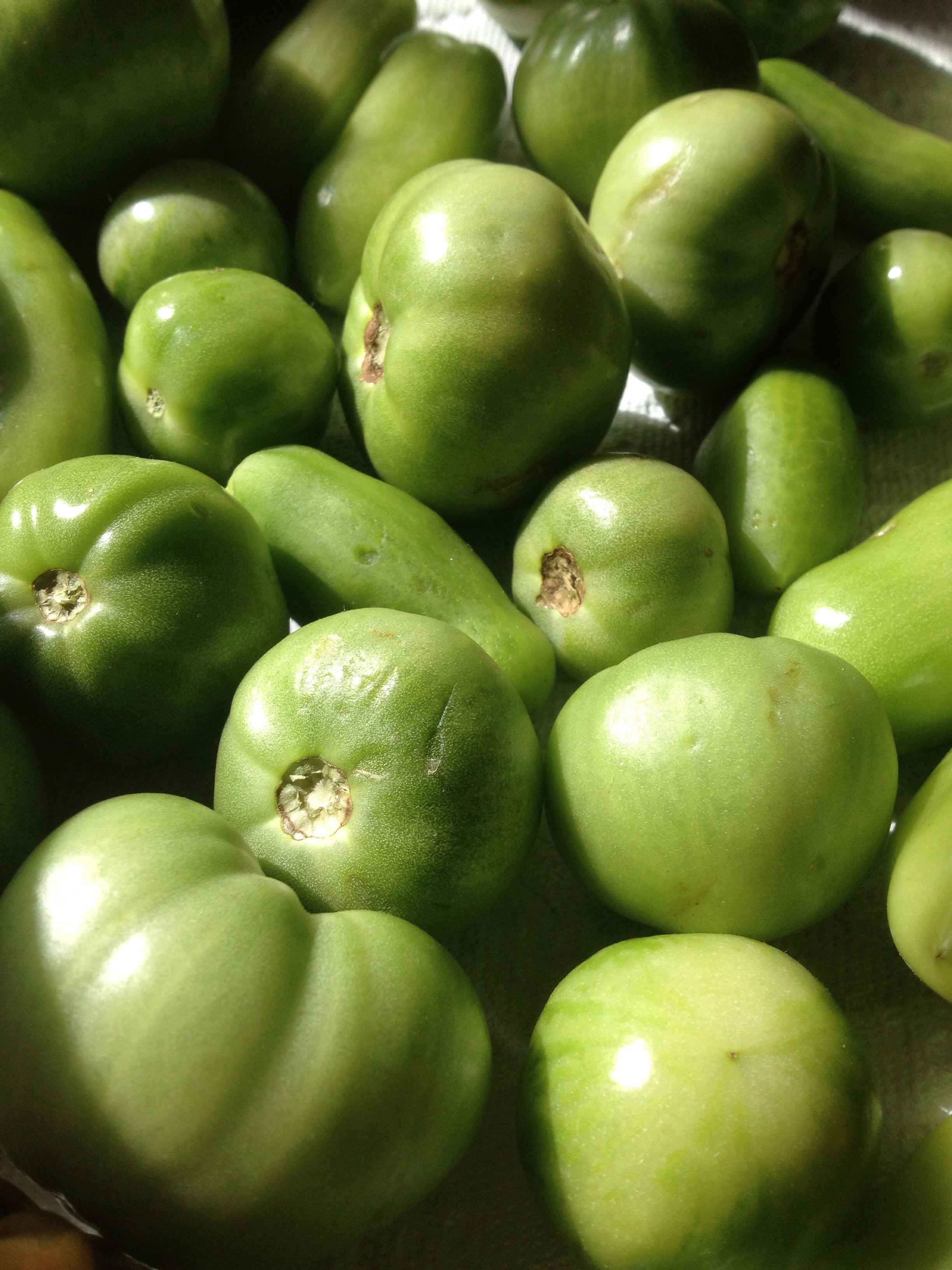 Green Tomatoes - Perfect Little Bites